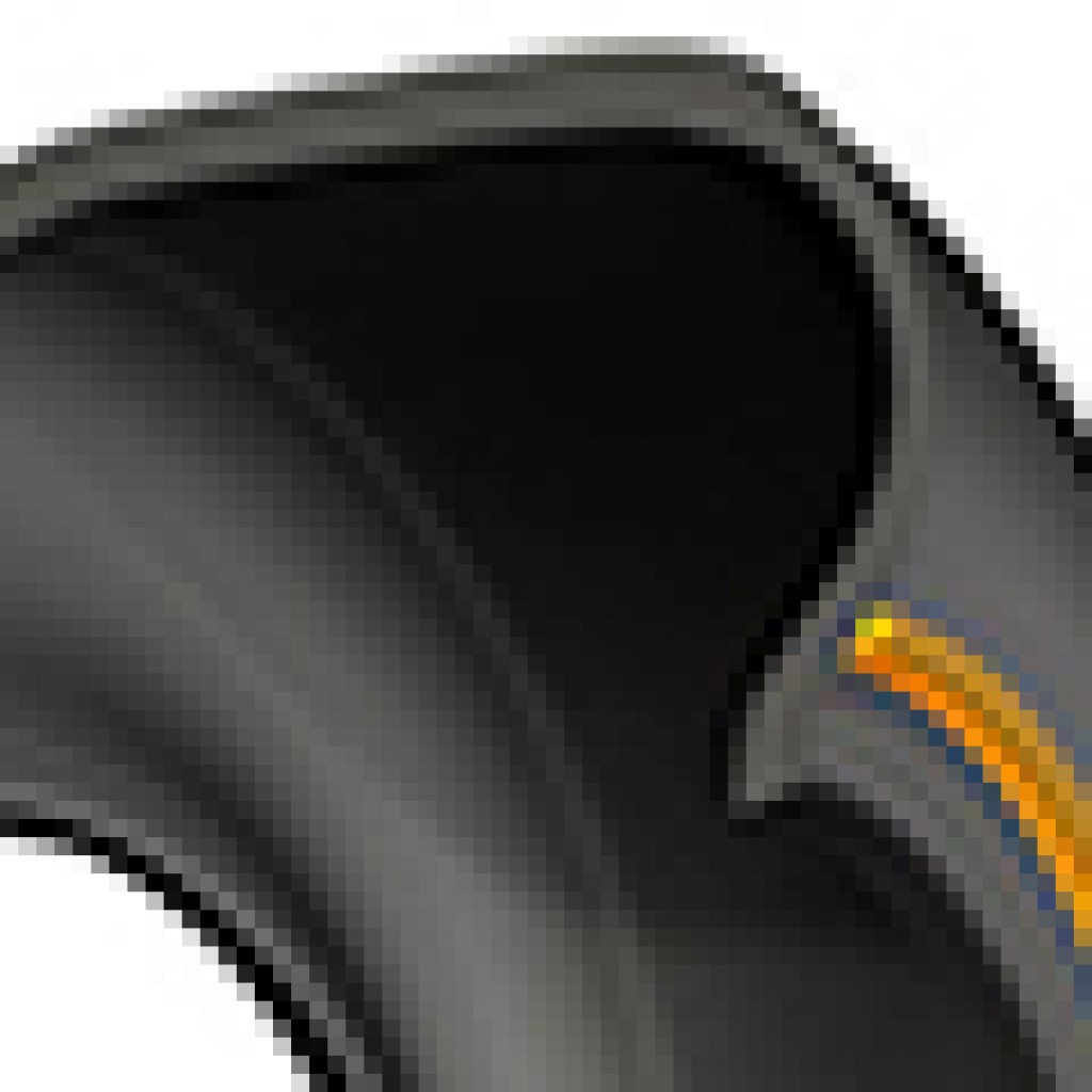 Rim-Flange-Protector | GOODYEAR